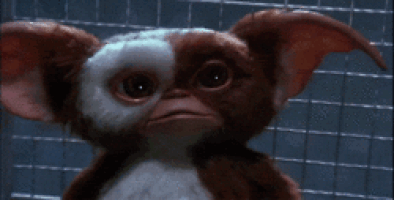 Gremlins 2 GIF - Find & Share on GIPHY