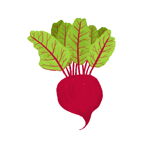 Veggie Vegetable Sticker for iOS & Android | GIPHY