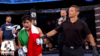 Mixed Martial Arts Fighting GIF by CombateAmericas - Find & Share on GIPHY