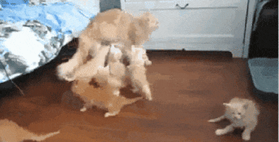 Commander Did You Order The Code Red GIFs - Find & Share on GIPHY