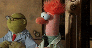 The Muppets GIF - Find & Share on GIPHY