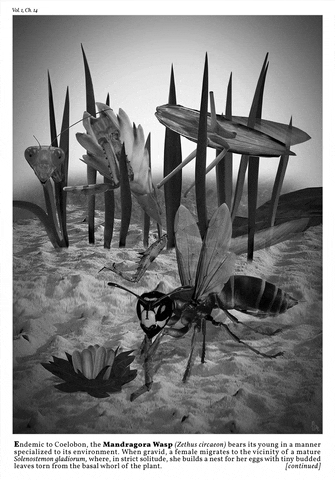 Fiction Mandragora Wasp GIF by Colin Raff - Find & Share on GIPHY