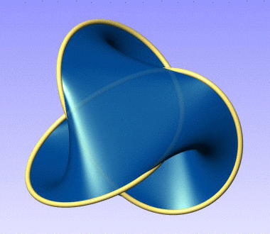 seifert surface animated GIF