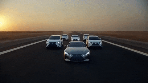 - Find & Share on GIPHY