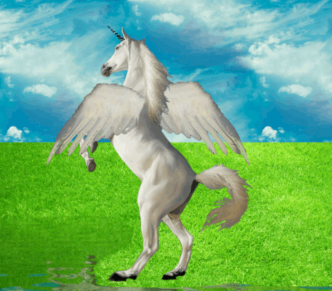 Pegasus GIF - Find & Share on GIPHY