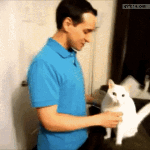 Humans GIF - Find & Share on GIPHY