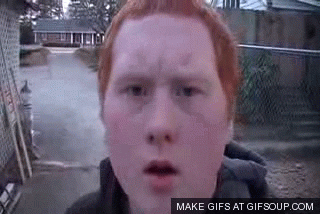 Ginger GIF - Find & Share on GIPHY