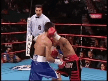 Puerto Rico Boxing GIF - Find & Share on GIPHY