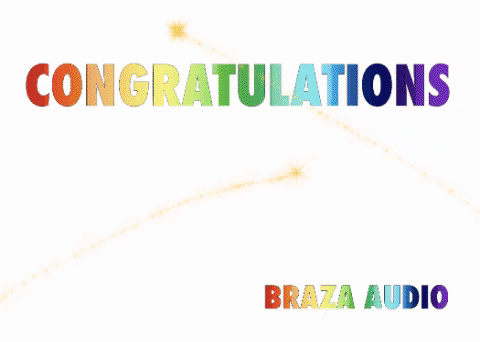 The Bears Happy Dance GIF by brazaaudio - Find & Share on GIPHY