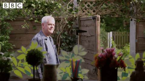 So Awkward Lol GIF by CBBC - Find & Share on GIPHY