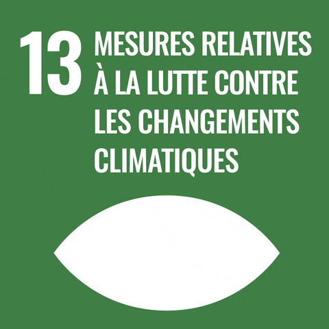 Yorku Sdg13 GIF by York University - Find & Share on GIPHY