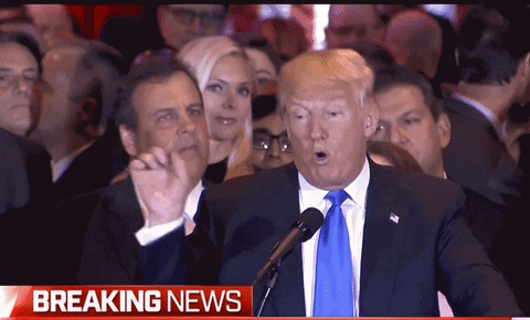 Donald Trump GIF - Find & Share on GIPHY