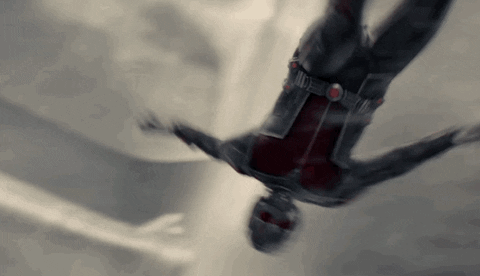 Ant Man Marvel GIF - Find & Share on GIPHY