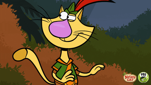 Suspicious Nature Cat GIF by PBS KIDS - Find & Share on GIPHY