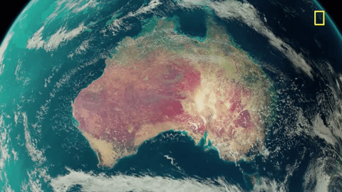 GIF by National Geographic Channel - Find & Share on GIPHY