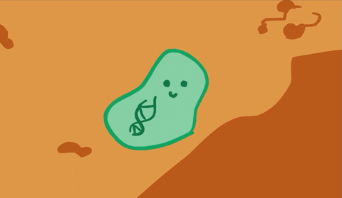 Genome GIFs - Find & Share on GIPHY