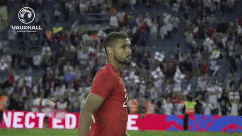 Three Lions GIF by England - Find & Share on GIPHY