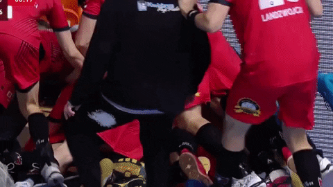 Team Spirit Fun GIF by Superliga - Find & Share on GIPHY