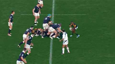 Rugby Try GIF - Find & Share on GIPHY
