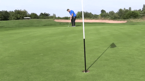 Golf Putt GIF by Worcester Warriors - Find & Share on GIPHY