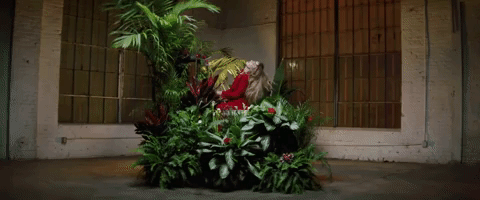 GIF by Ingrid Andress - Find & Share on GIPHY