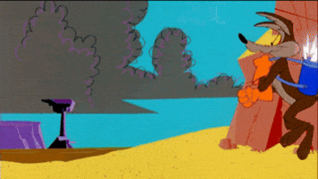 Wile E Coyote GIFs - Get the best GIF on GIPHY