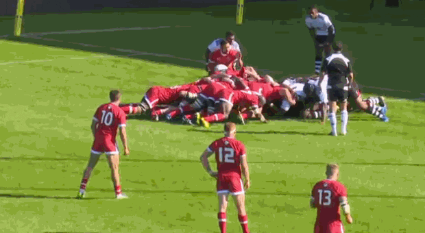 Rugby World Cup GIF - Find & Share on GIPHY