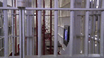Jail GIFs - Find & Share on GIPHY