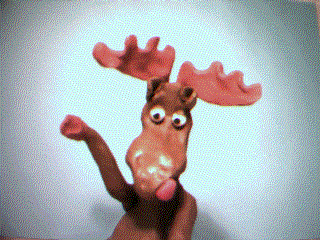 Moose GIF - Find & Share on GIPHY