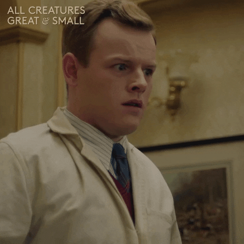 All Creatures Great And Small GIF - Find & Share on GIPHY