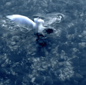 Voracity (Worm Case 53 Quest) | Page 164 | Sufficient Velocity