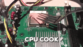 Cook GIF - Find & Share on GIPHY
