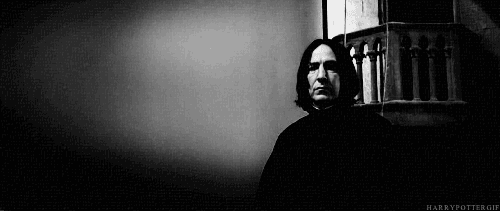 Harry Potter Character GIF - Find & Share on GIPHY