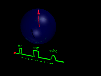 Echo GIF - Find & Share on GIPHY