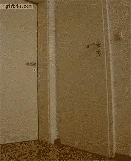 Doors GIF - Find & Share on GIPHY