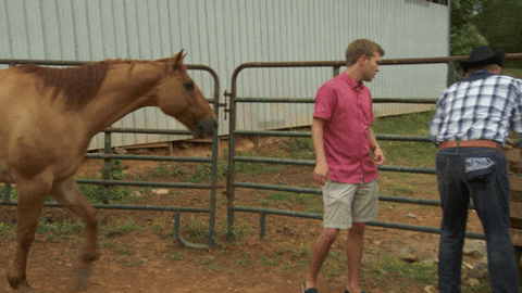 Dude Ranch GIF - Find & Share on GIPHY