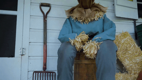 Scarecrow GIF by Spirit Halloween - Find & Share on GIPHY