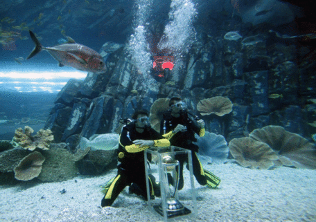 Aquarium GIF - Find & Share on GIPHY