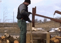 Wood you look at this guy : r/interestingasfuck