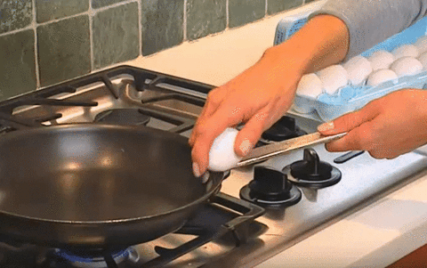 Omelet GIFs - Find & Share on GIPHY