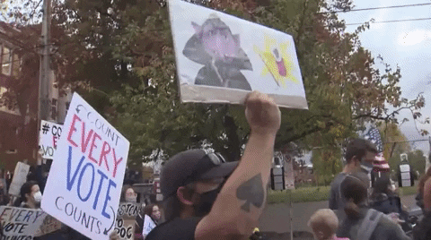Count Every Vote Protest GIF by GIPHY News - Find & Share on GIPHY