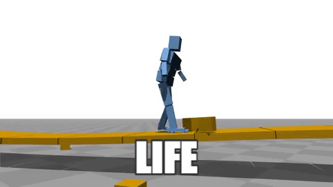 Life in a nutshell : r/gifs