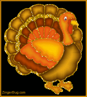 Turkey GIFs - Find & Share on GIPHY