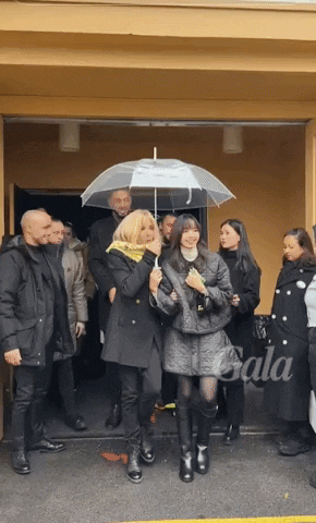 "Un choc culturel" La relation entre Brigitte Macron et Lisa attire l ...
