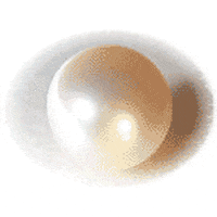 Pearl GIF - Find & Share on GIPHY