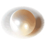 Pearl GIF - Find & Share on GIPHY