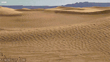 Timelapse Africa GIF by Cheezburger - Find & Share on GIPHY