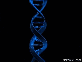 Dna GIF - Find & Share on GIPHY