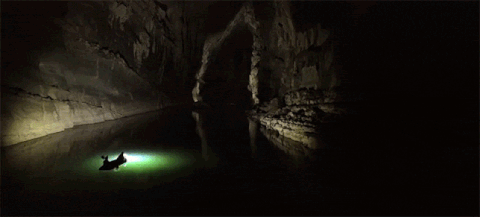 Cave GIF - Find & Share on GIPHY
