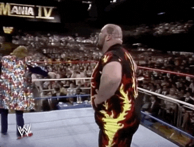 Wrestlemania Iv Facepalm GIF by WWE - Find & Share on GIPHY